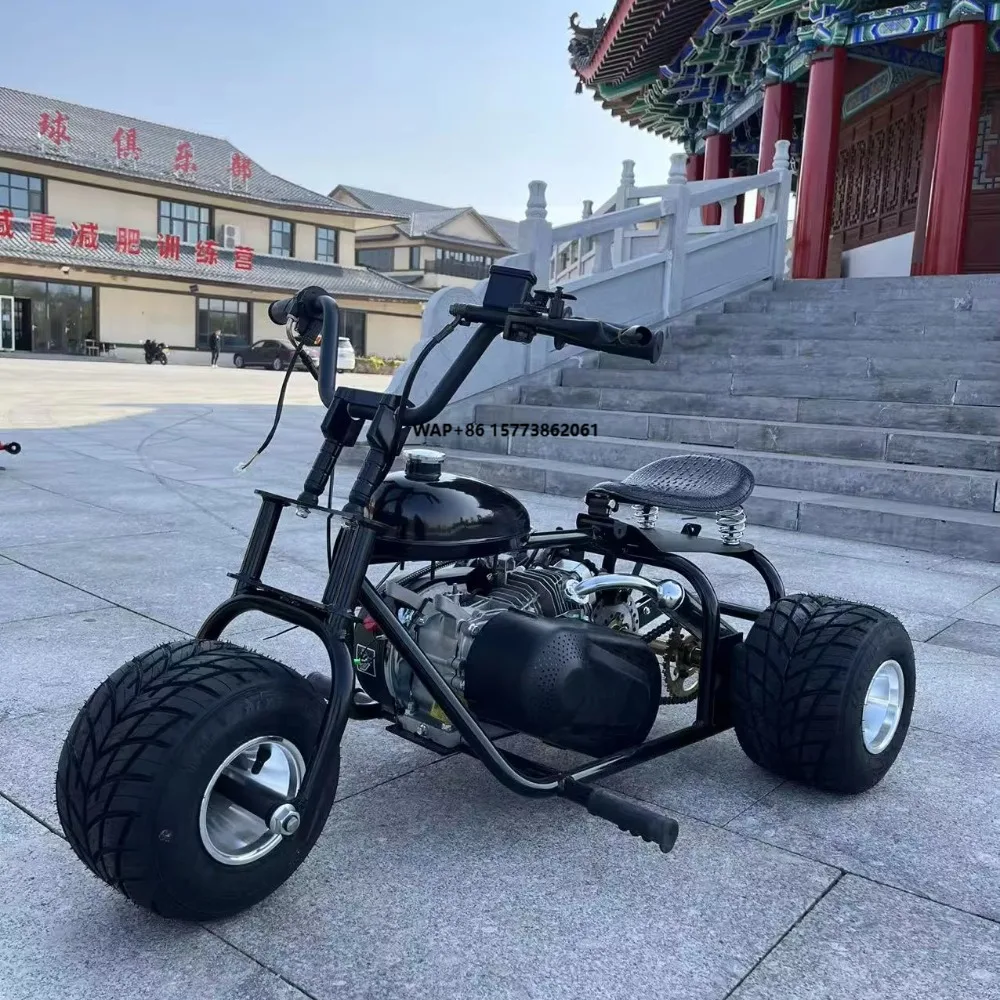 China Wholesale 212cc Four-stroke Fuel Off-road Gas Powered Adult Fast ...