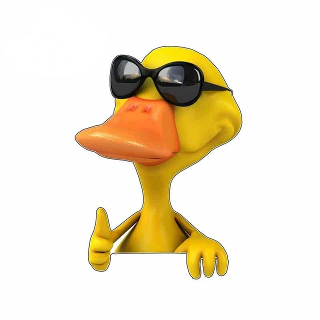 Cool Duck