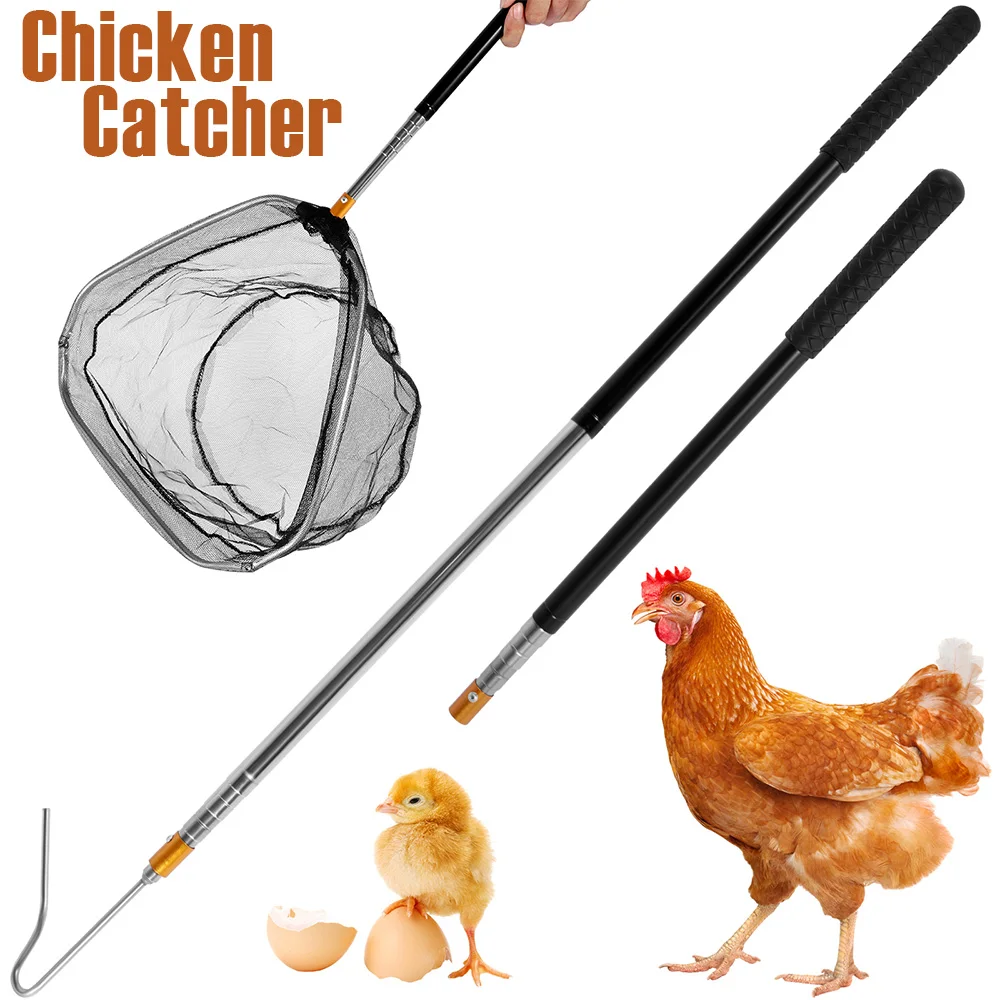 Chicken-Catcher-Stick-58-5-Inch-Stainless-Steel-Telescopic-Chicken-Net ...