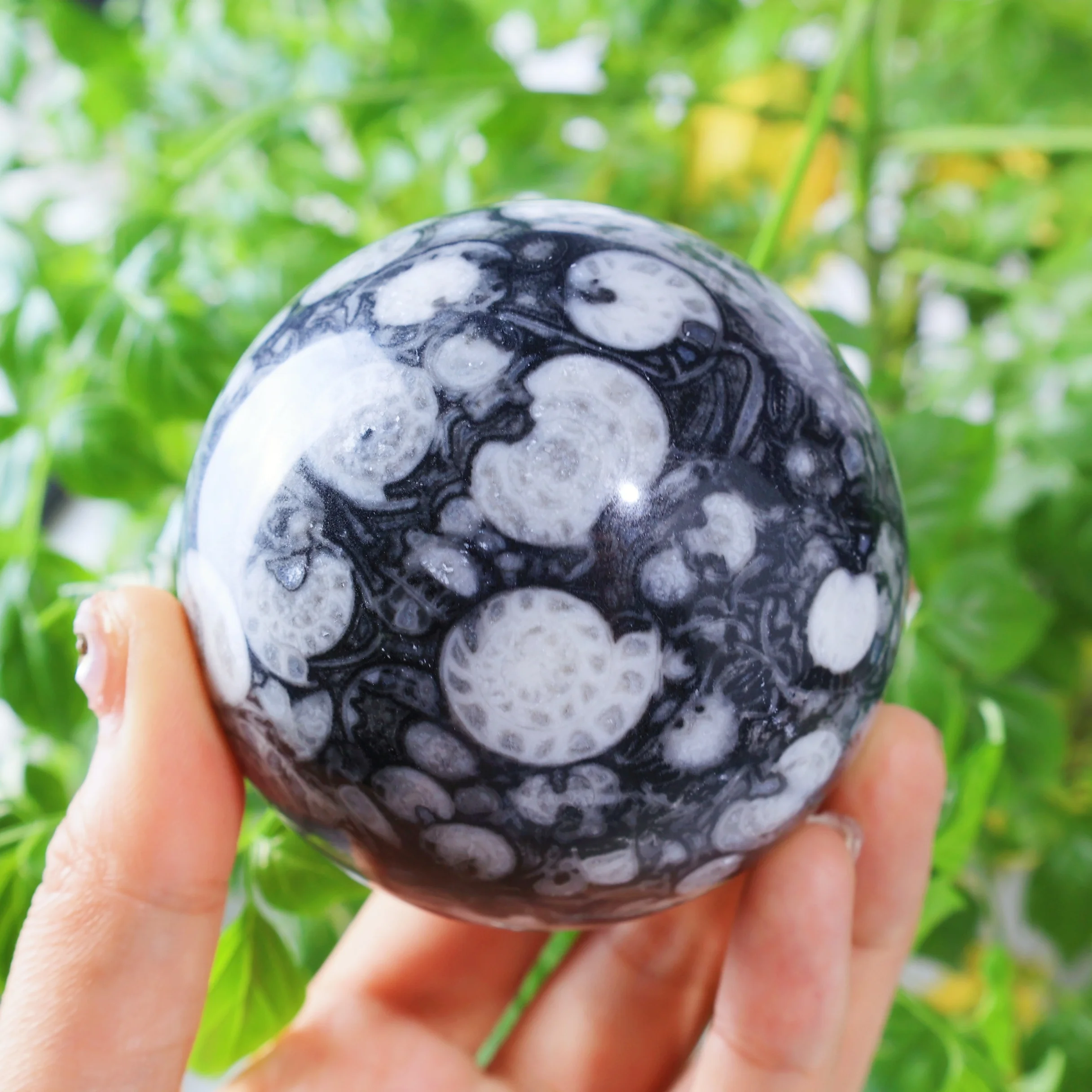 Stunning-Gray-Shell-Jasper-Sphere-Large-Thousand-Eye-Jade-Crystal-Ball ...