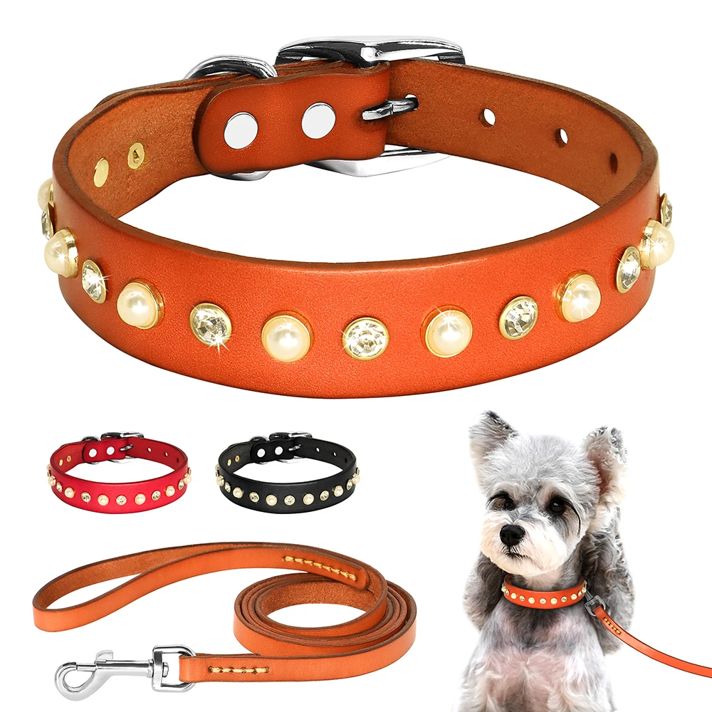 Collier réglable en cuir véritable pour chien et chat, ensemble de ...
