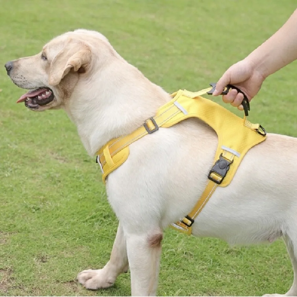 Dog Body Harness