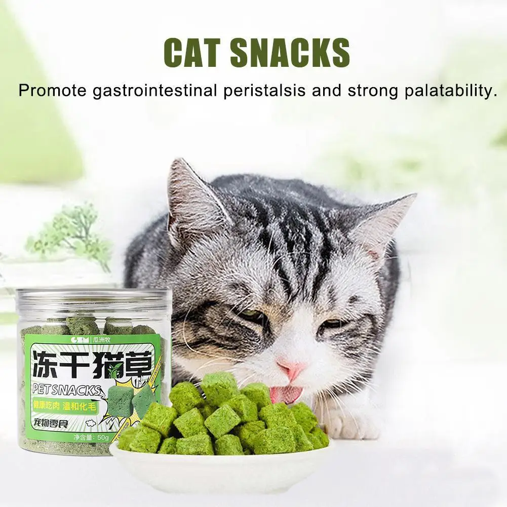 50g-Cat-Snacks-Freeze-Dried-Catgrass-Grain-Teeth-Grinding-Stick ...