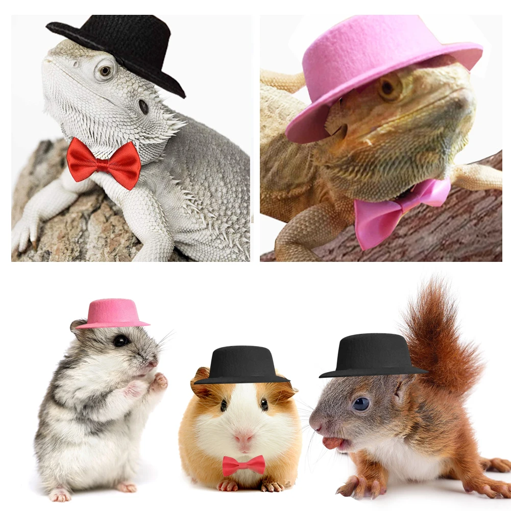Animals Wearing Top Hats