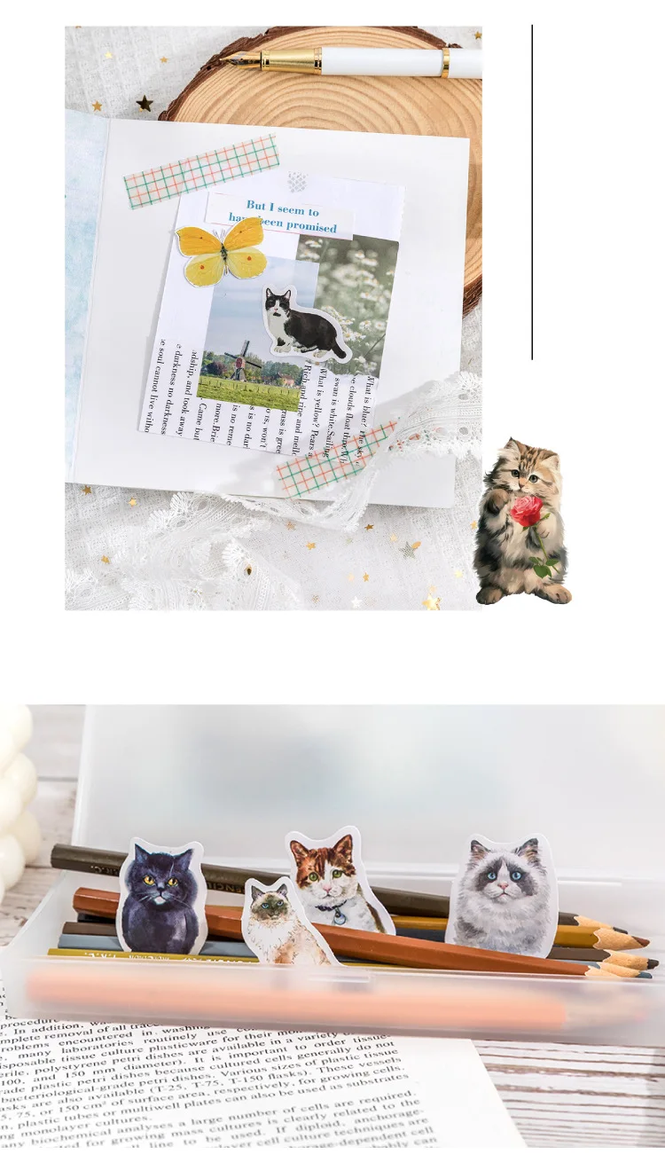 46pcs Cute Cat Diary Decorative Boxed Stickers Kawaii Pets Scrapbooking ...