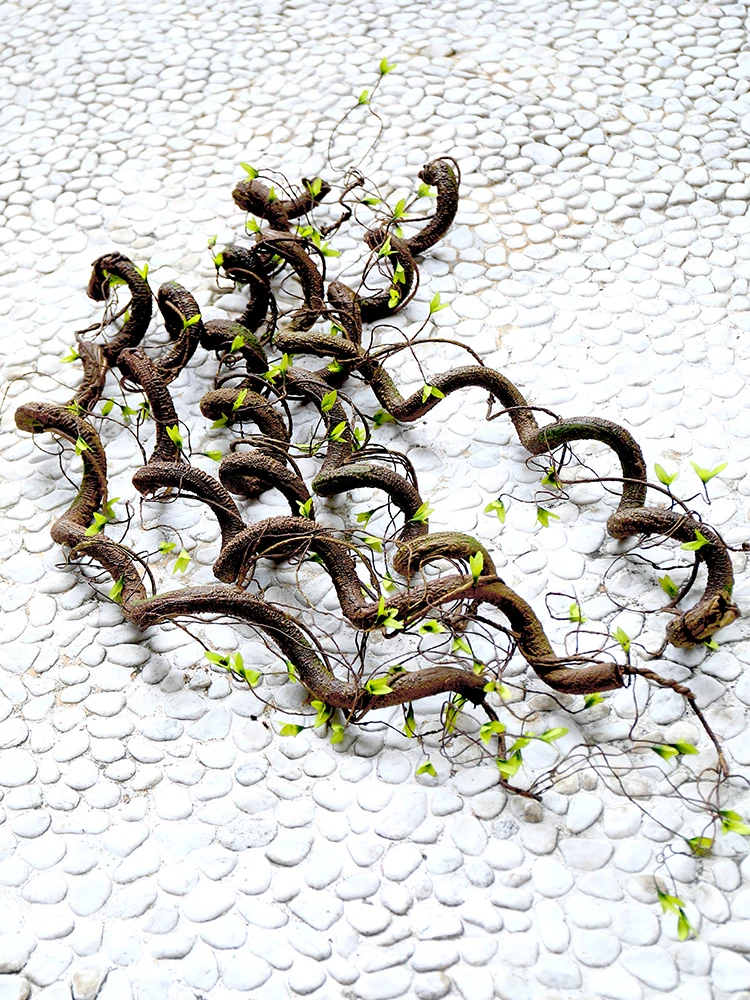 Hanging Artificial Decorative Plant | Flexible Artificial Branches ...