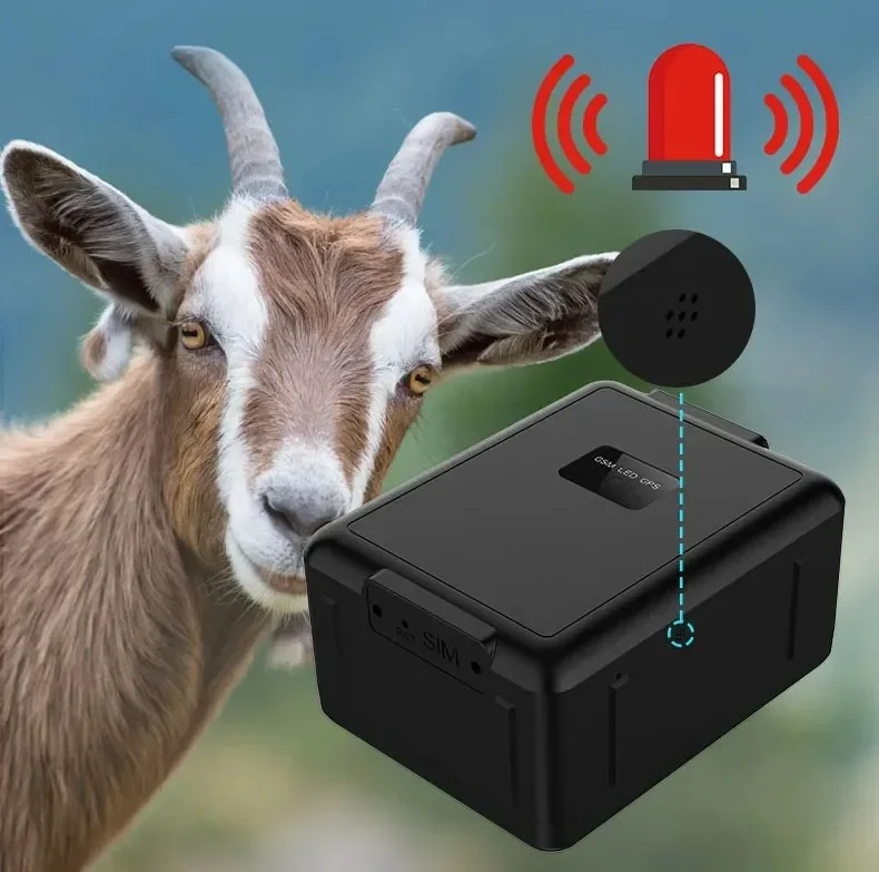 4G GPS Tracker Sheep Cow Cattle Horse GPS Tracking Device Geo-fences ...