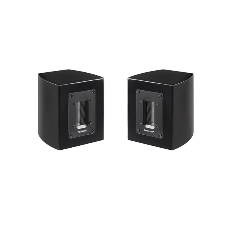 5Ohm Brand New Fever Independent Ribbon Super Tweeter External Tweeter ...