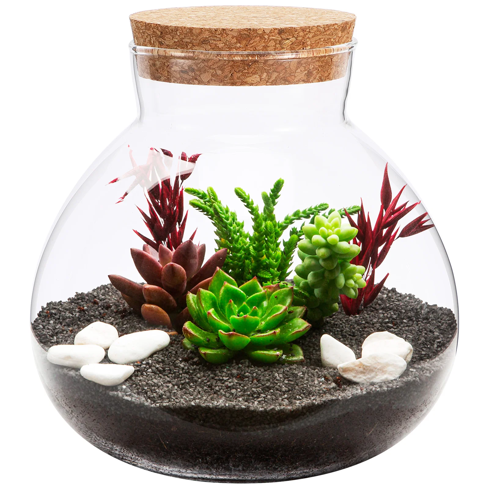 Glass Terrarium Desktop Landscape Bottle Home Decor Moss Crafts ...