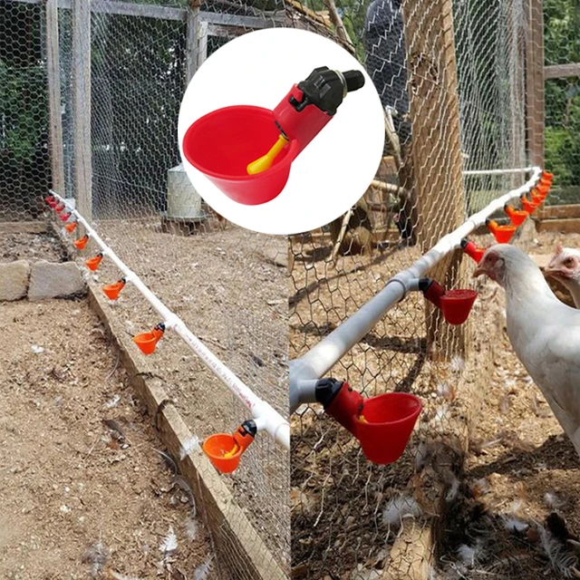 Self Watering System For Chickens