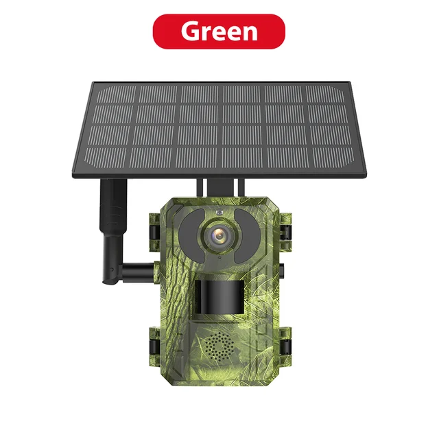 Store Home Products Feedback Brand story