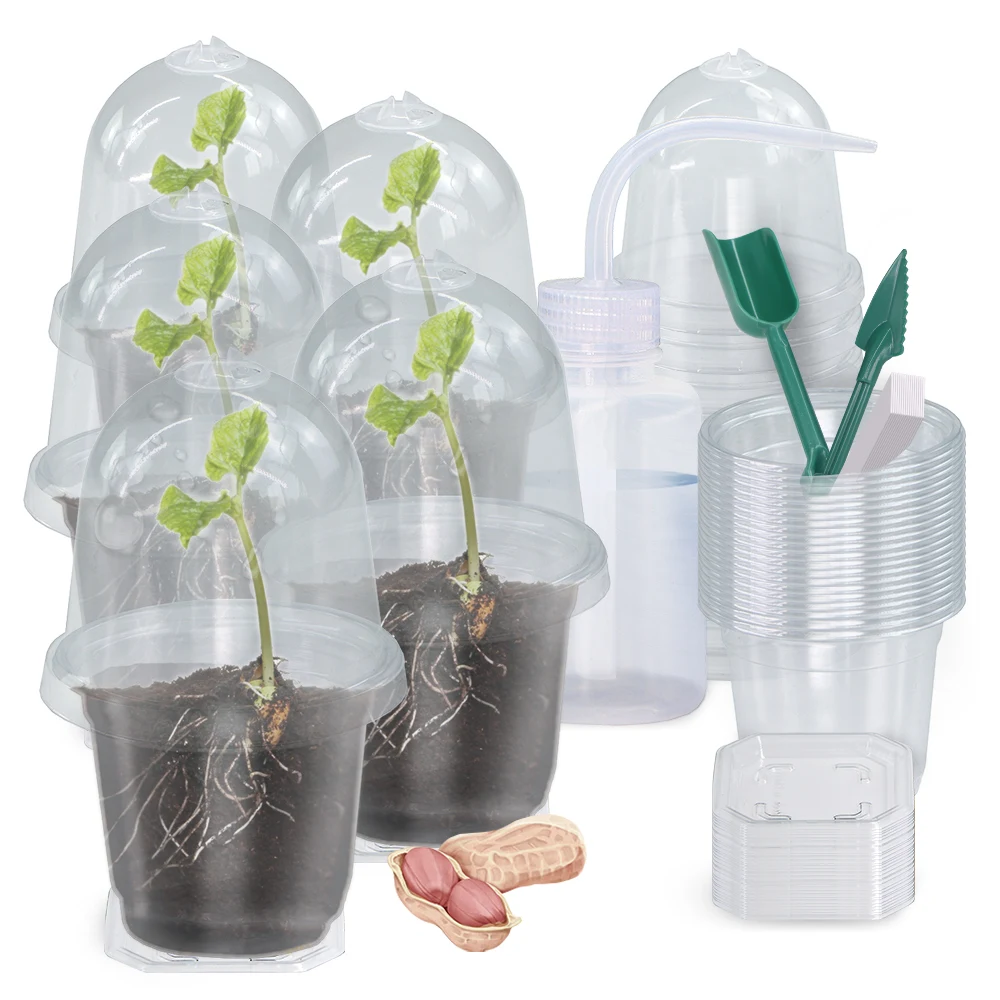 Transparent-Nursery-Cups-for-Seeds-Seedlings-Cutting-Clear-Germination ...