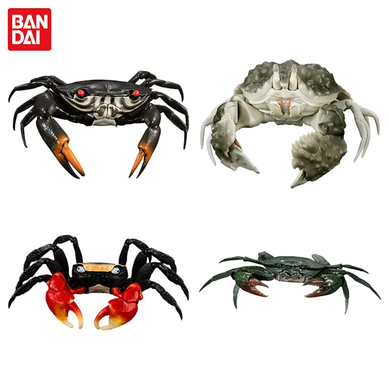 Bandai-Original-Big-Biological-Map-Animal-Crab-Gashapon-Calappa ...