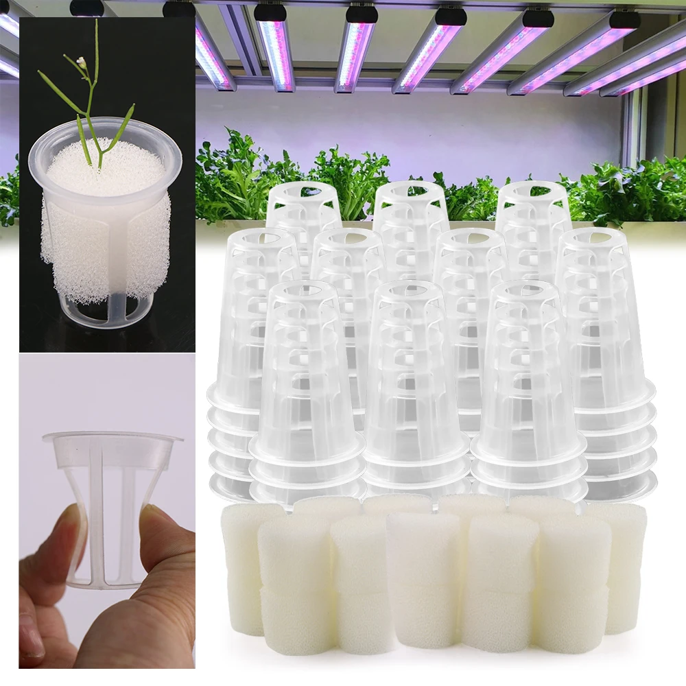 50PCS-Hydroponic-Colonization-Mesh-Soilless-Cultivation-System-Cups ...