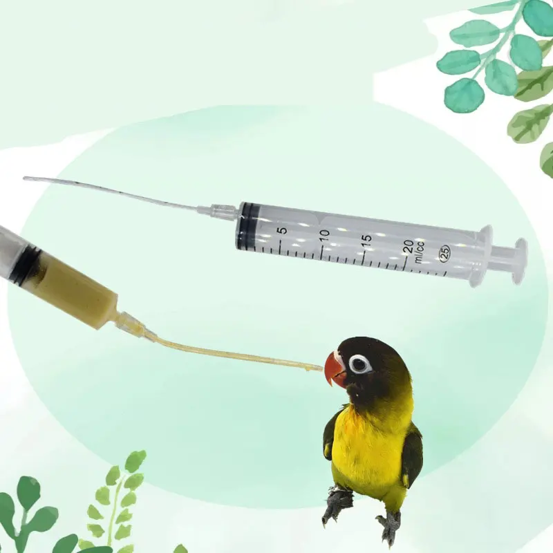 Baby-Bird-Feeder-Parrot-Feeding-Syringe-BreastFeeding-Water-Milk ...