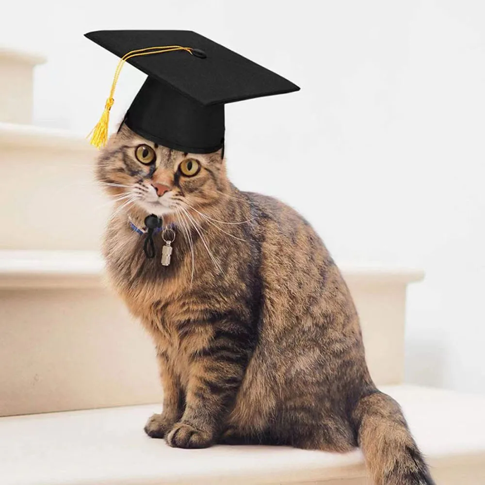 Black-Pet-Graduation-Caps-Dogs-and-Cats-Graduation-Hats-with-Yellow ...
