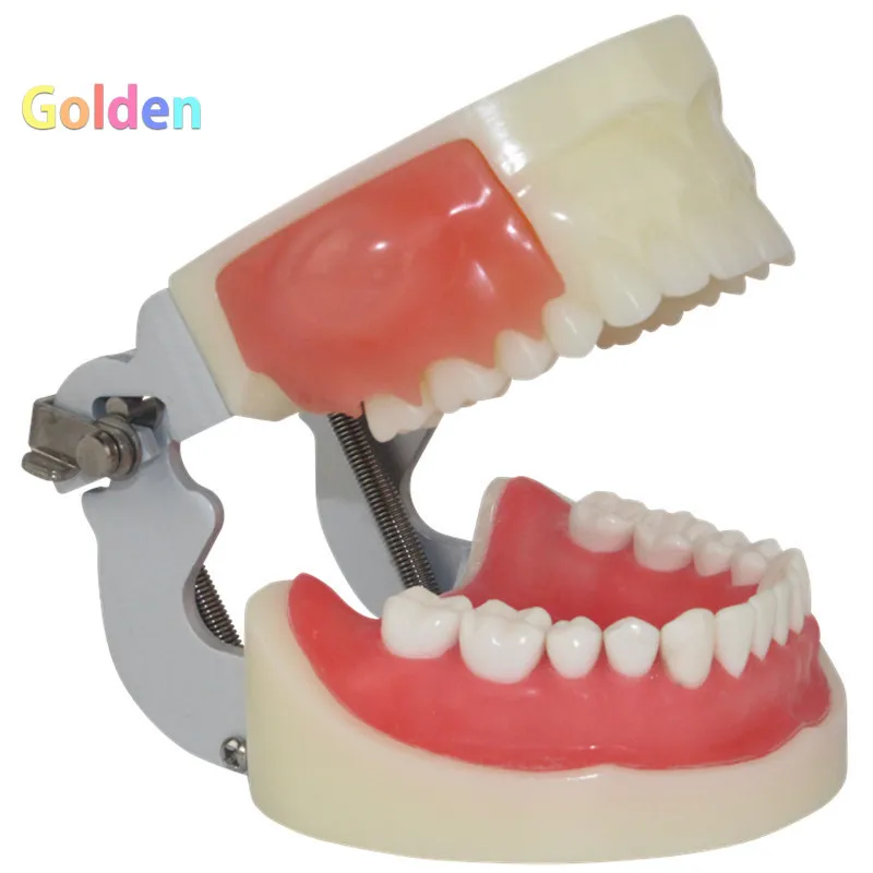 Oral-Practice-Examination-Abscess-Incision-and-Tooth-Preparation-Model ...