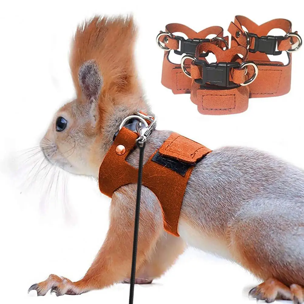 Bearded-Dragon-Harness-And-Leash-Set-Lizard-Harness-with-Nylon-Rope-Small-Animal-Traction-Rope ...