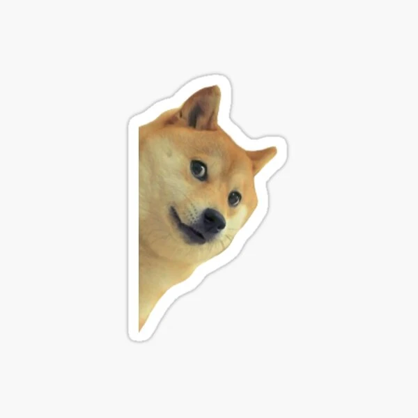 Doge Windows