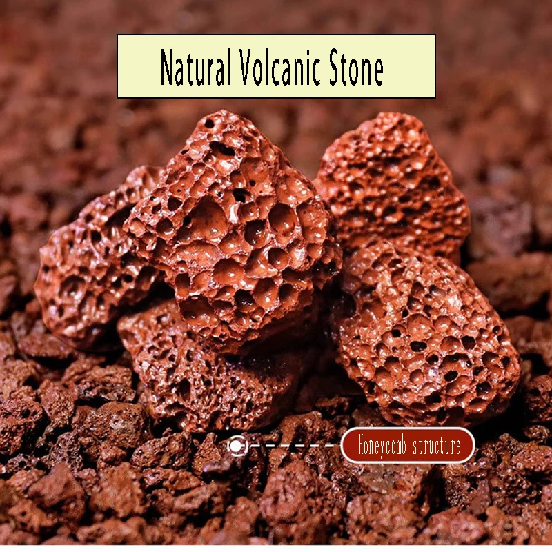 Volcanic Stone Granular Orchid Fleshy Granular Soil Special for Potted ...