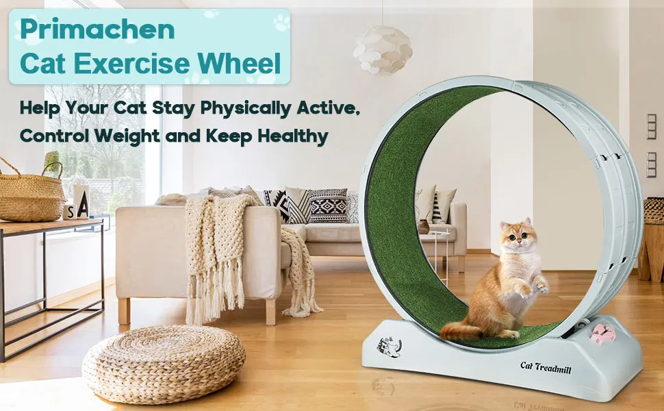 Noiseless Cat Running Toy Wheel Exercise Treadmill Cat Fitness Roller ...