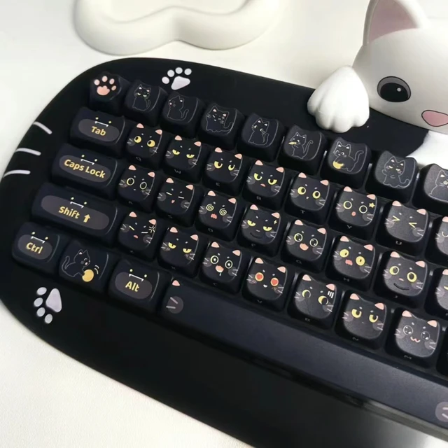Gato Del Teclado
