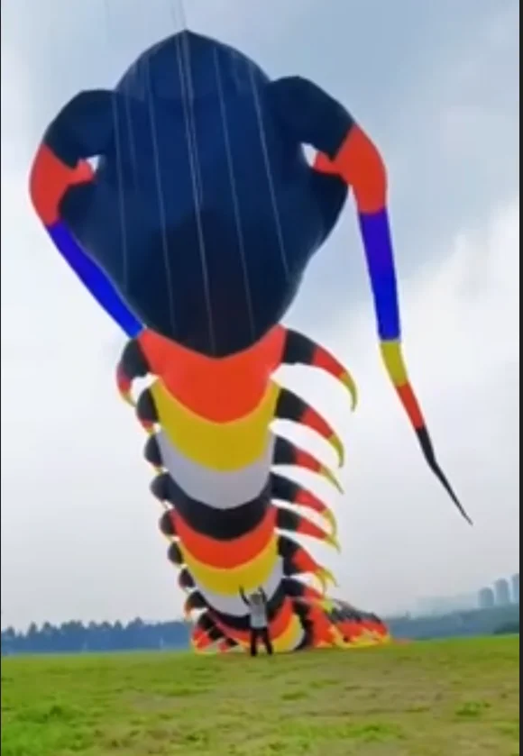 18m-fly-toy-koi-fish-soft-kite-Centipede-Kite-software-giant-kite ...