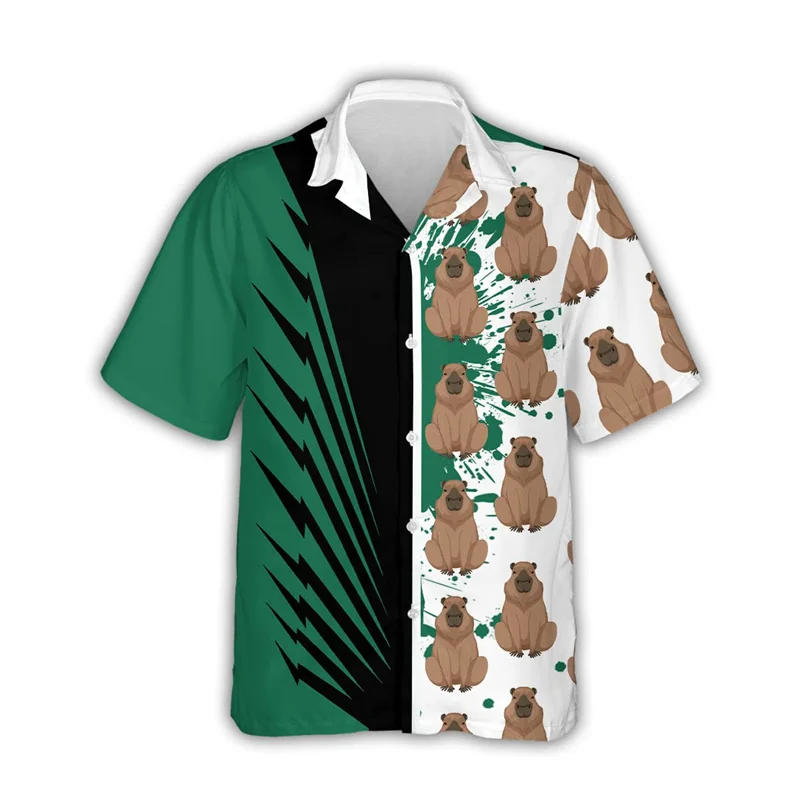 2024 Camisetas gráficas de capibara kawaii para hombres, ropa con ...