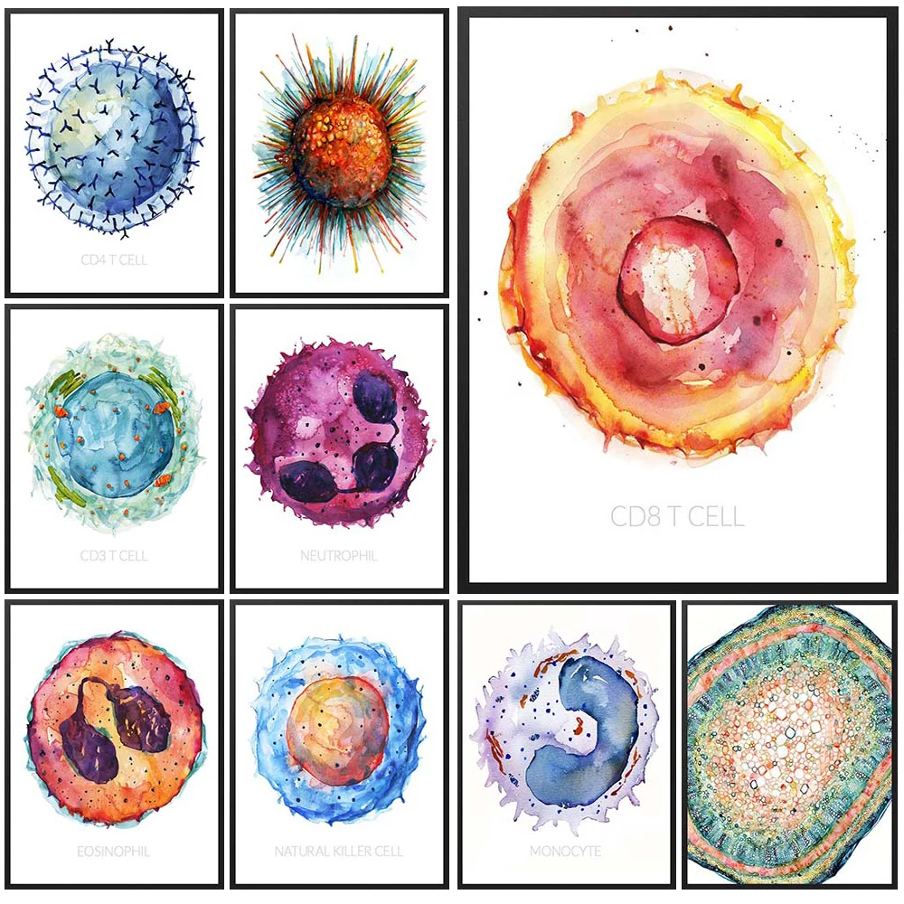 Cells Virus Cytology Virology Prints Posters Poster Wall Art Canvas ...