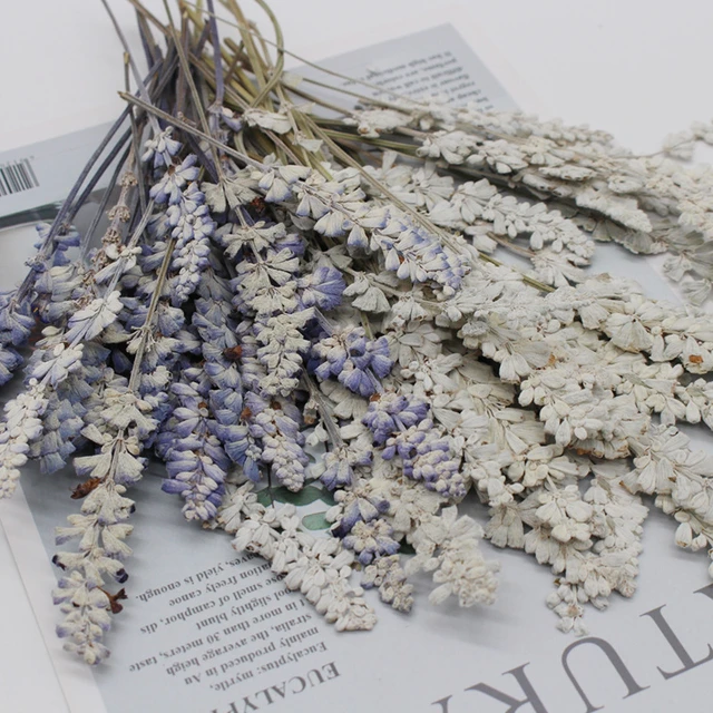Dried Lavender Wedding Bouquet