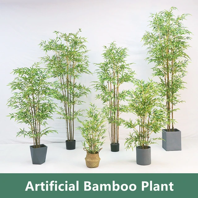 Fake Bamboo Plants Clearance Sale | www.pinnaxis.com