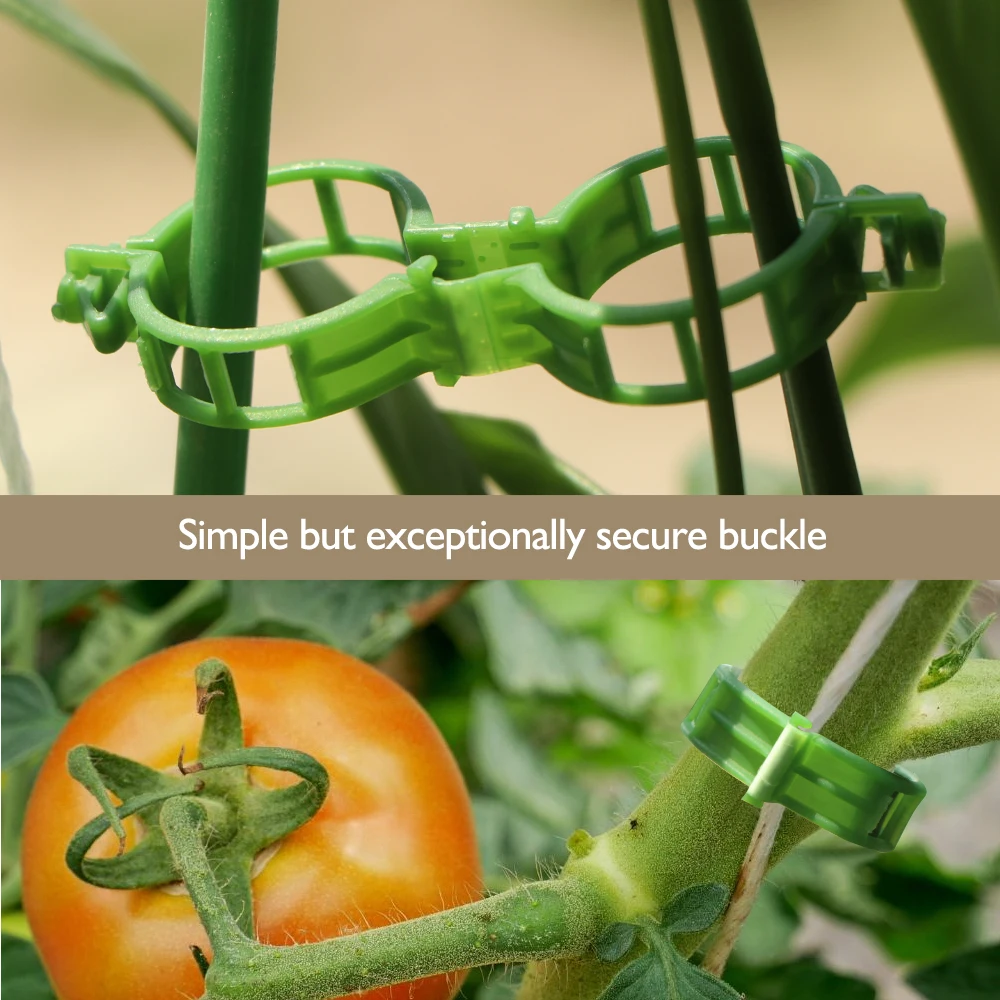 Plastic Garden Plant Support Clip Flixed Ring Buckle Traction for Vine ...