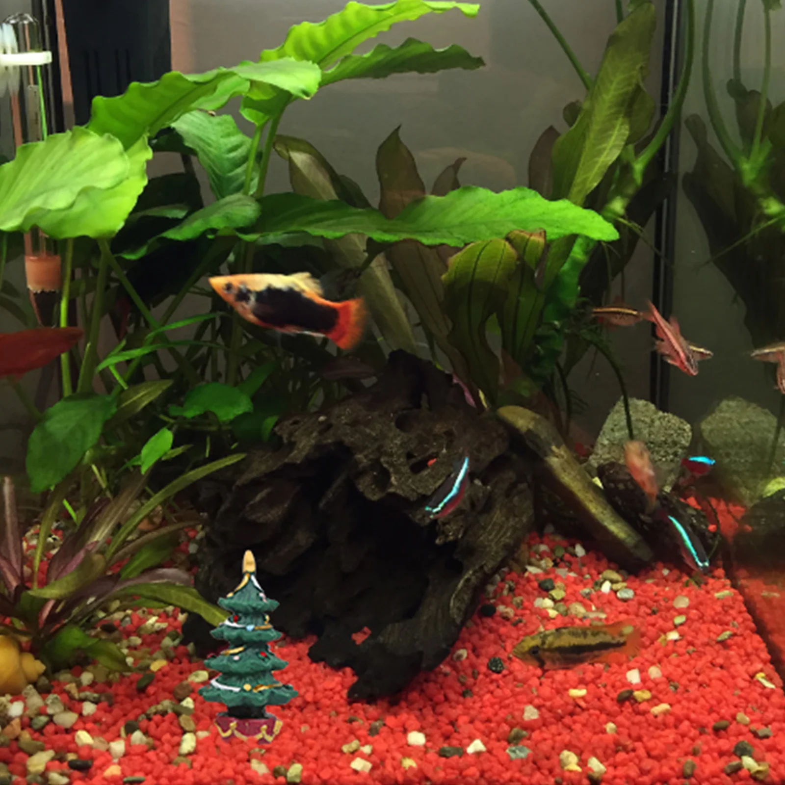 Fish Tank Dining Room Table