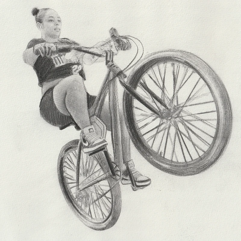 Bicicleta De Wheelie | ppgbbe.intranet.biologia.ufrj.br