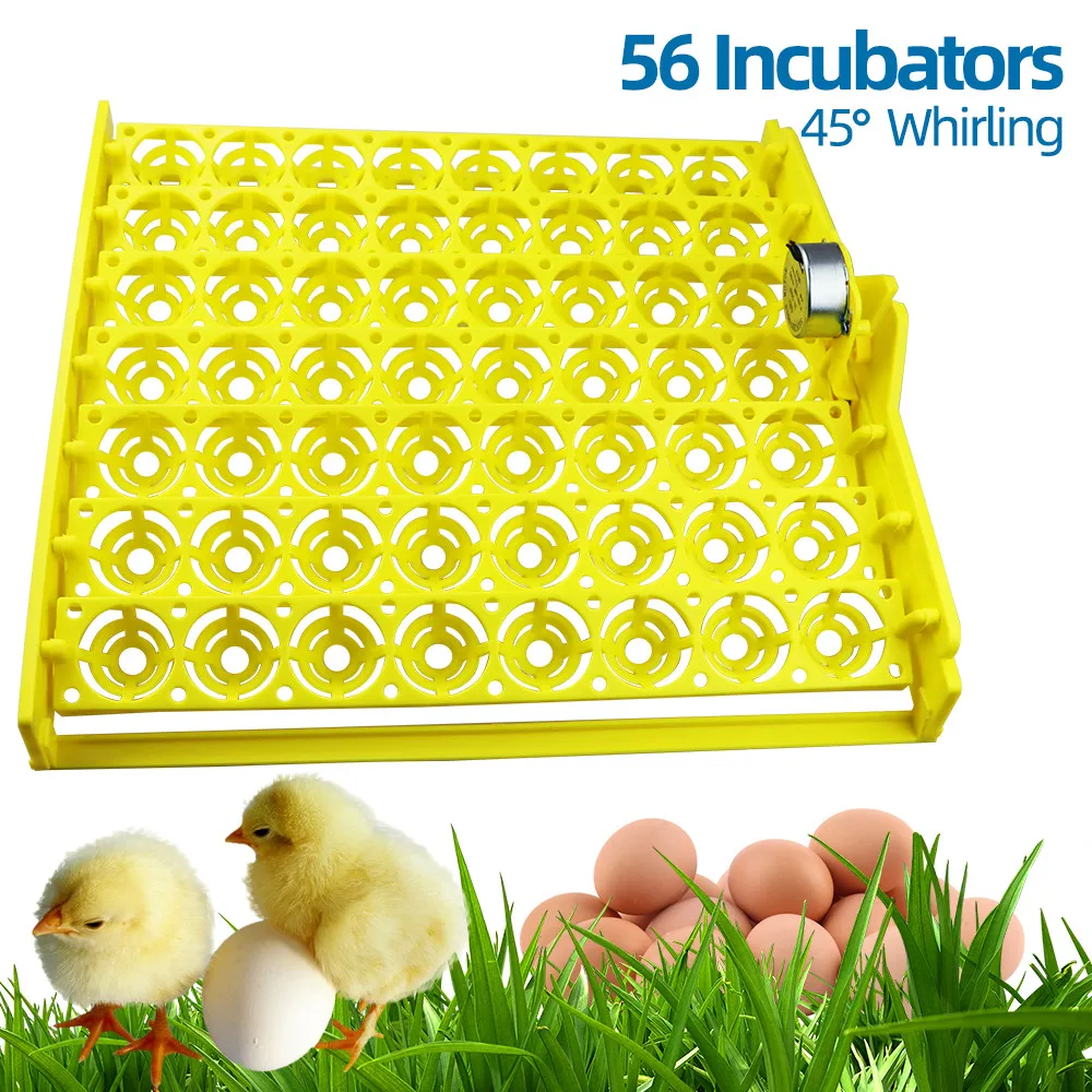56 Eggs Incubator Eggs Automatic Incubator Incubator motor Turn Tray ...