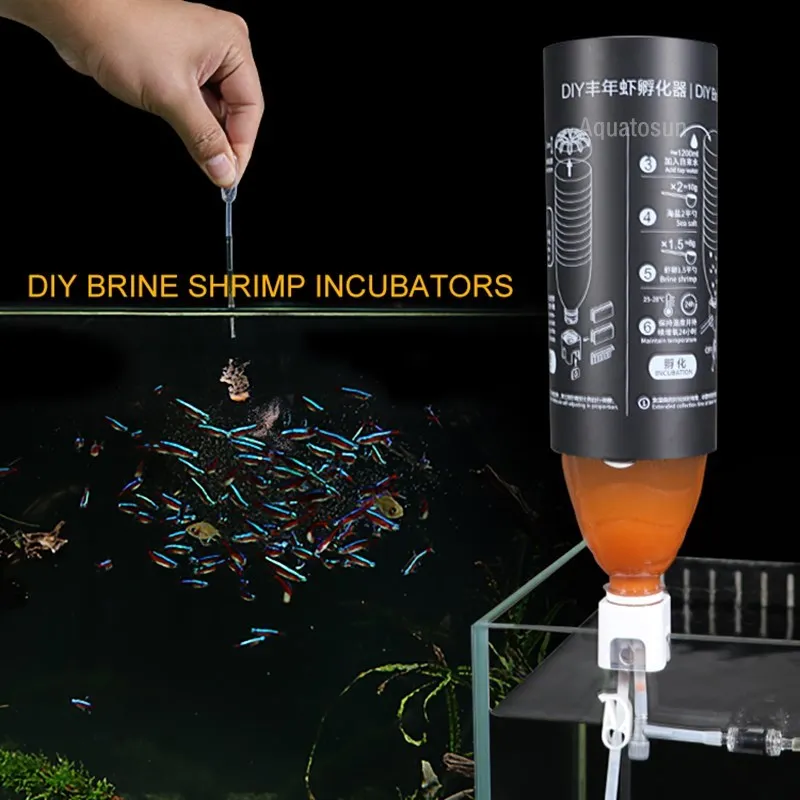 Diy-Brine-Shrimp-Eggs-Incubator-Hatchery-Artemia-Eggs-Hatchery-Kit-Fish ...