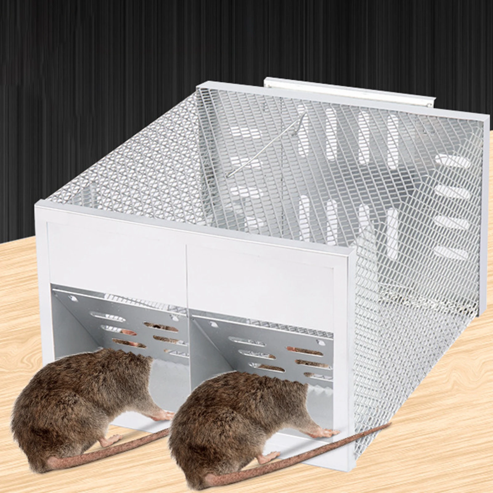 Pi-ges-souris-sans-cruaut-pi-ges-rats-faciles-installer-attrape-souris ...