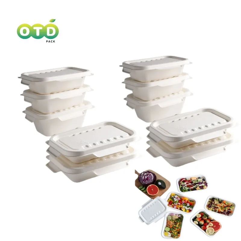 Sugarcane Bagasse Compostable Rectangle Container with 2 Lids Sushi ...