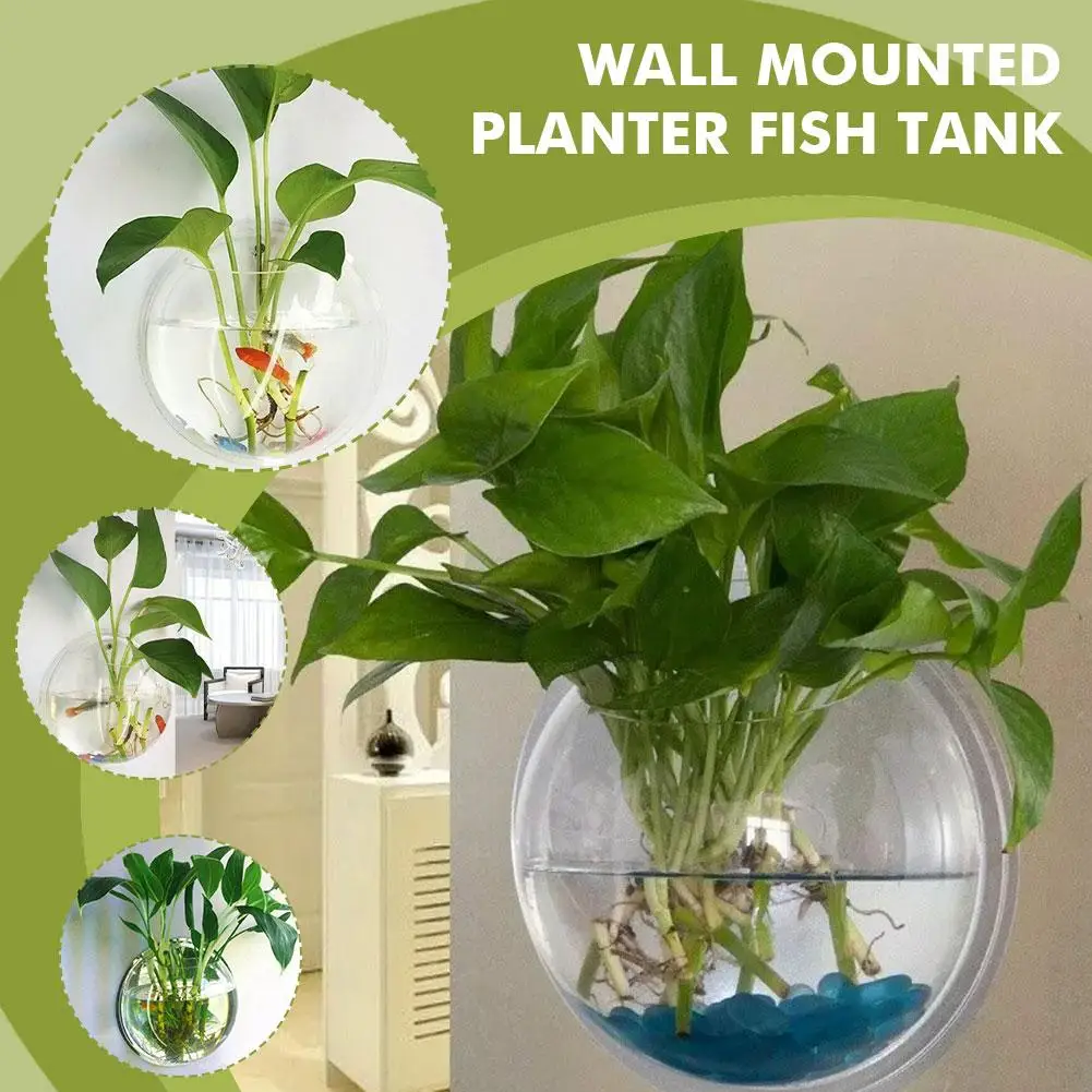 Creative-Wall-Mounted-Fish-Tank-Hydroponic-Glass-Vase-Fish-Transparent ...