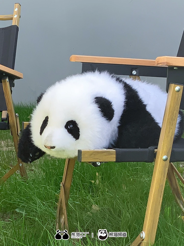 Cute Baby HuaHua Panda Simulation Bear Kawaii Panda Soft Plush Toys 3 ...