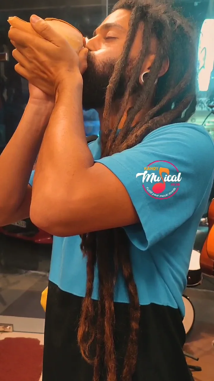 Sri Lankan Traditional Hakgediya Large size High tone හක්ගෙඩිය large ...