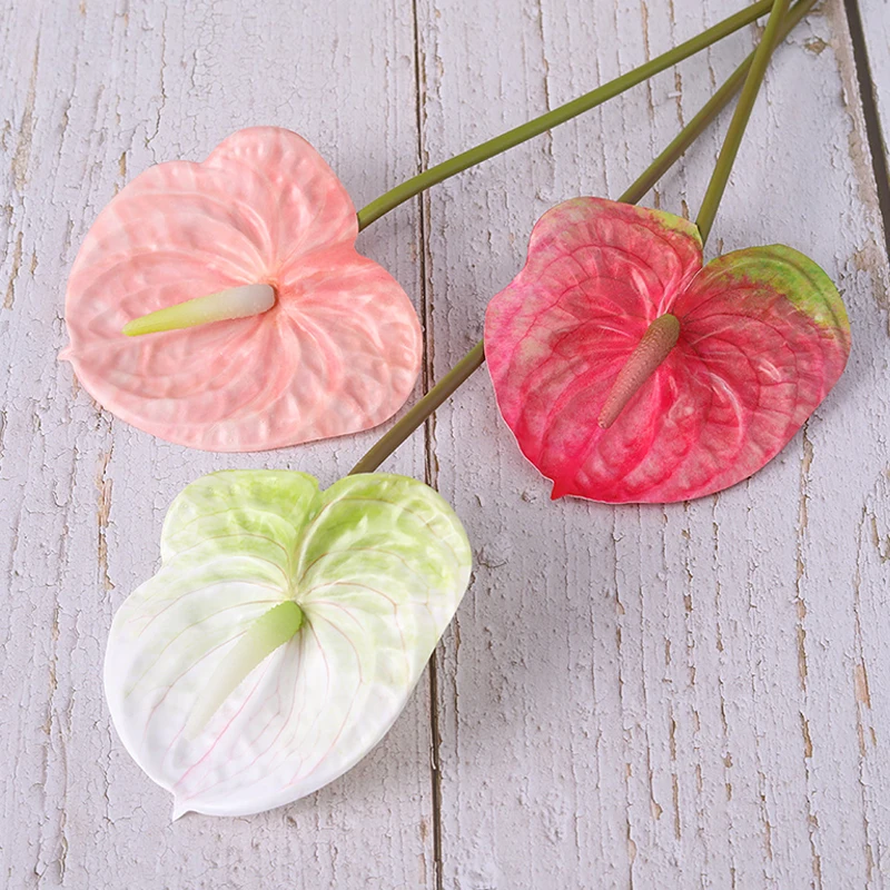 Anthurium Flower Arrangement