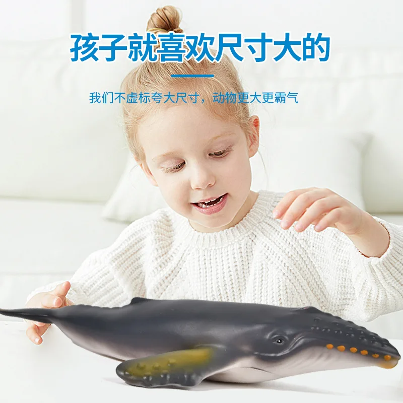 12 types NEW Sea Life Animal Whale shark sperm whale beluga dolphin ...
