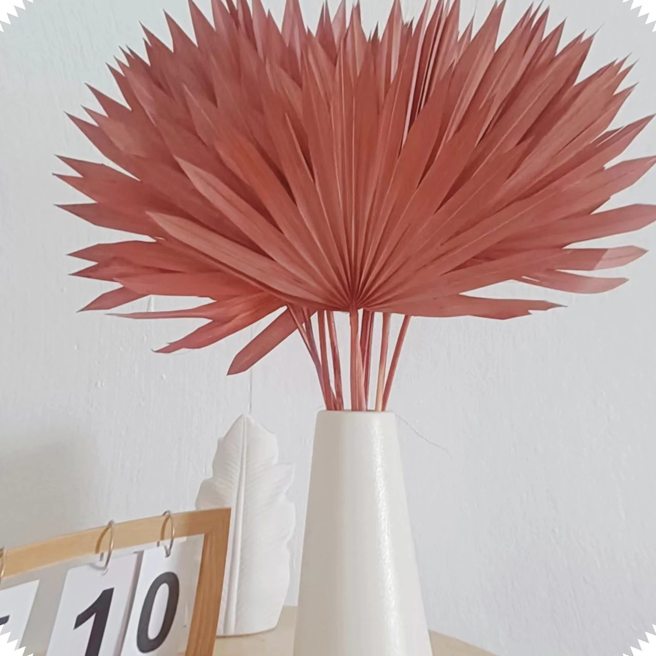 2pcs Pu Fan Dried Flower Guanyin Fan Dry Leaf Decoration Flower ...