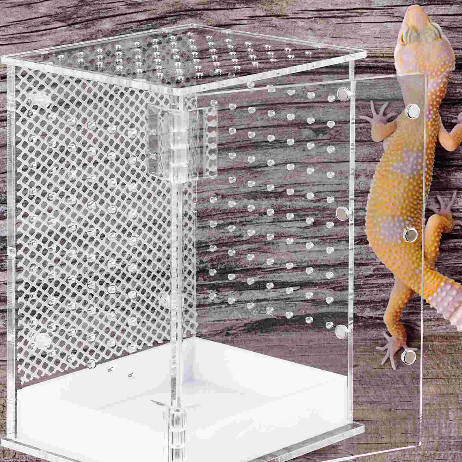 Reptile Pet Terrarium Incubator Mantis Enclosure Insect Praying Habitat ...