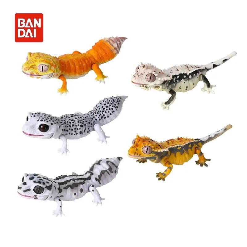 Original-Bandai-Gashapon-Big-Biological-Map-Leopard-Gecko-The-Crested ...