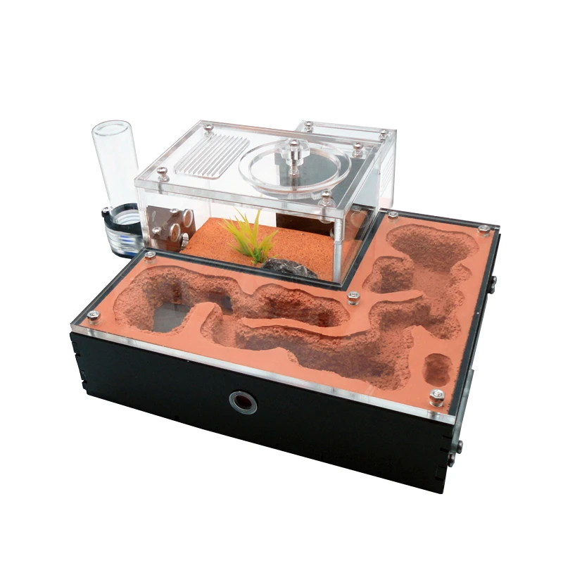 Ant-Farm-mini-CC-with-External-Water-Tower-Moisturise-Ant-Nest-Pet-Ant ...