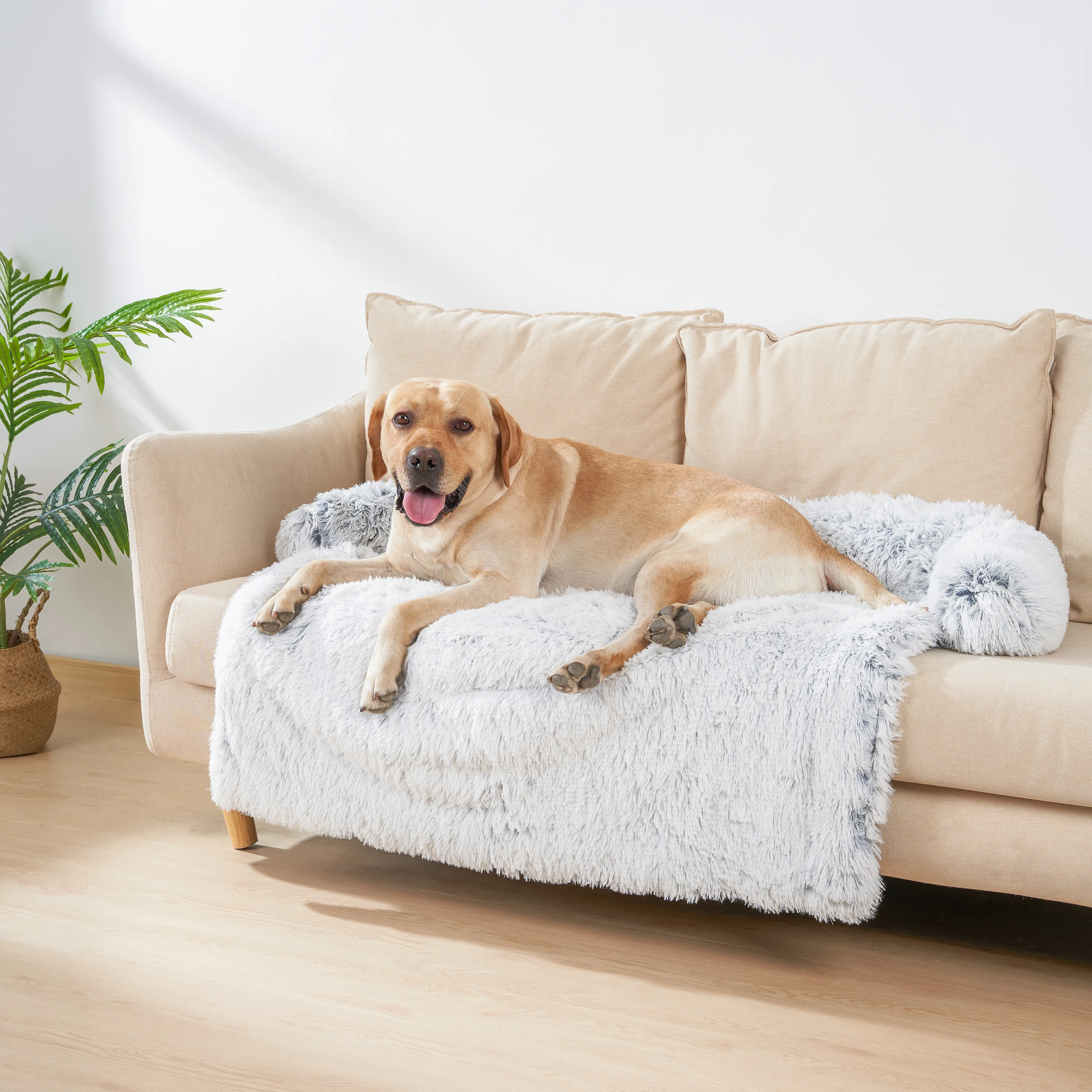 Canap-lavable-pour-animaux-de-compagnie-lit-pour-chien-lit-apaisant ...