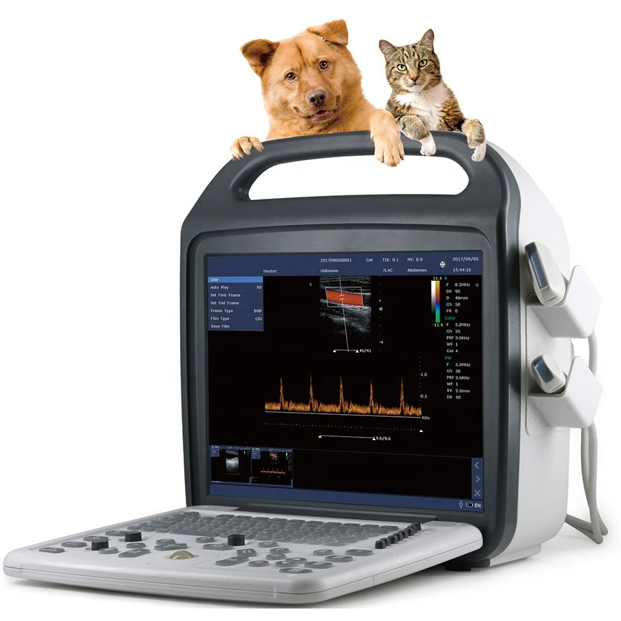 Página principal Productos Comentarios