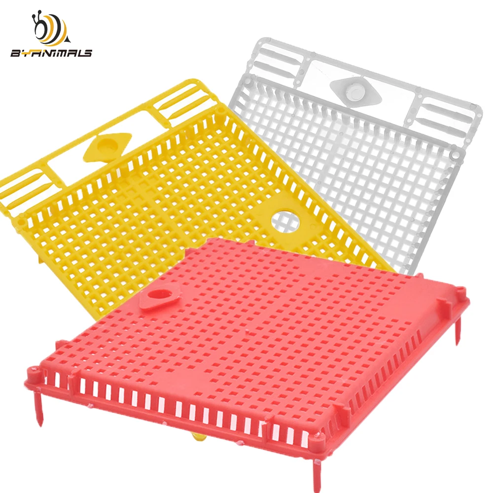 5PCS-Professional-Plastic-Beekeeping-Queen-Introduction-Cages ...